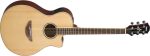 Yamaha APX600 Review: Is This Thinbody Acoustic Worth the Price ...