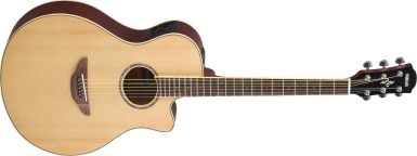 Yamaha APX600 Review: Is This Thinbody Acoustic Worth the Price ...